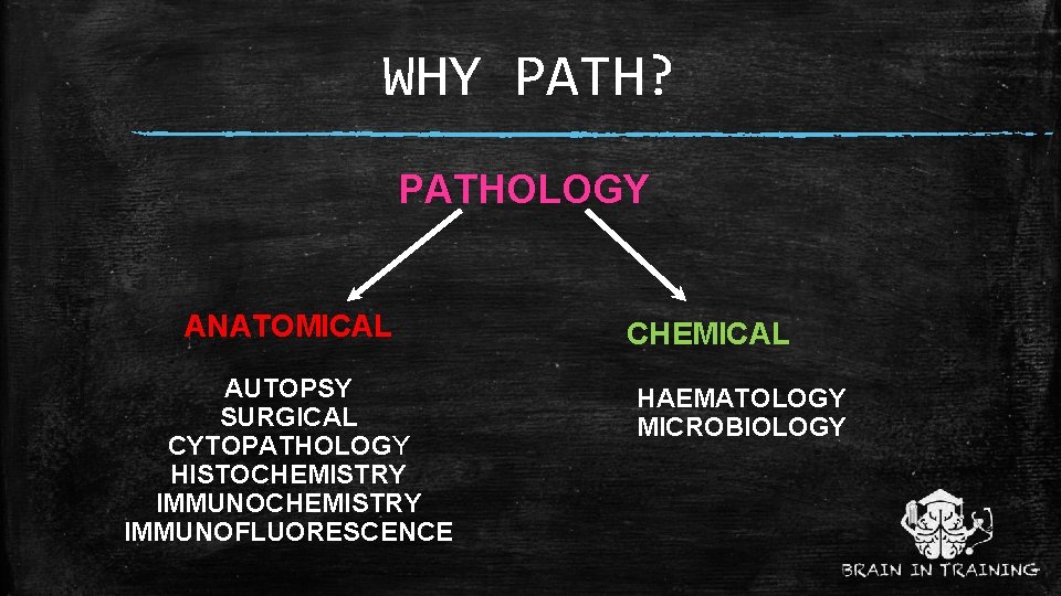 FDT PATHOLOGY INTRODUCTION TO BASIC PATHOLOGY WHY PATH