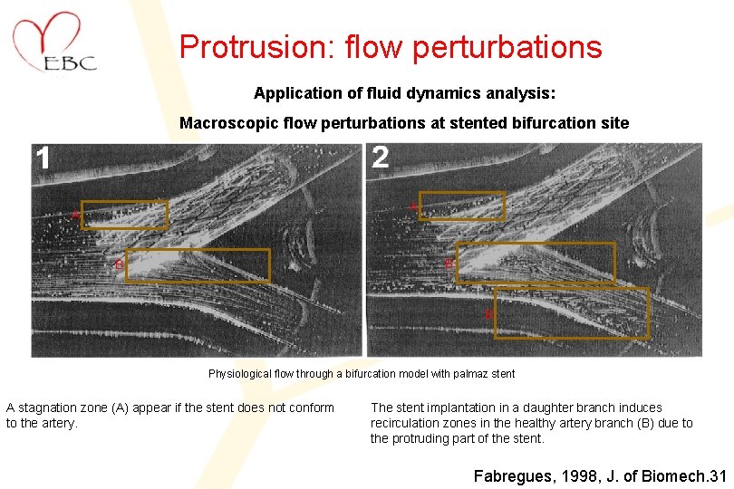 6 th European Bifurcation Club 22 23 October