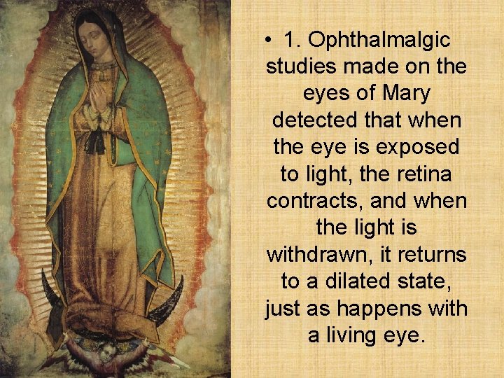 Discoveries about the tilma of the Virgin of