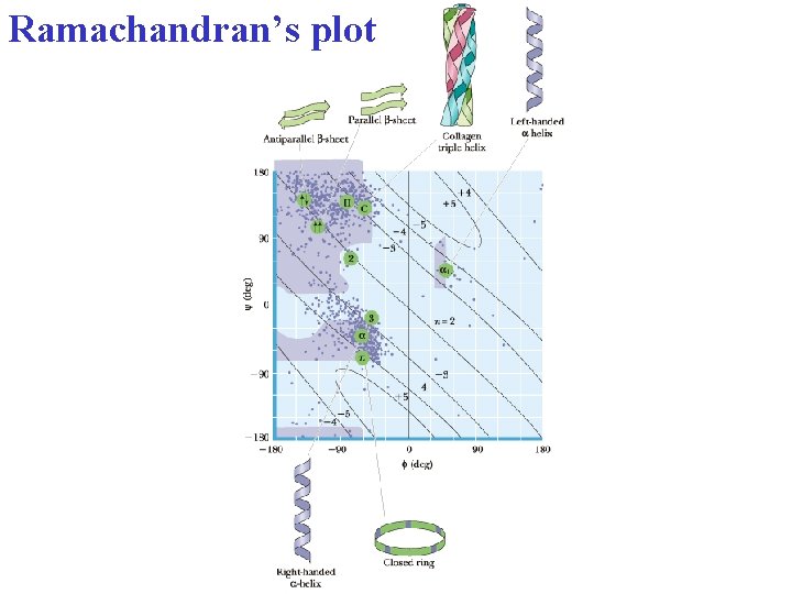 Methods of determination of protein structure by Ivo