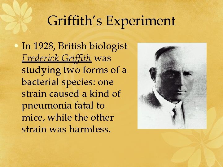 Griffiths Experiment In 1928 British biologist Frederick Griffith