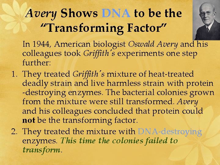 Griffiths Experiment In 1928 British biologist Frederick Griffith