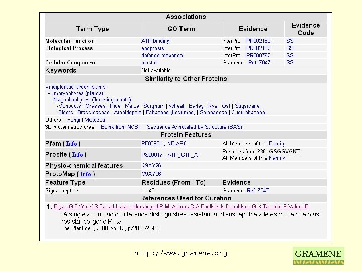 A Comparative Mapping Resource GRAMENE Exploring Rice Phenotypes