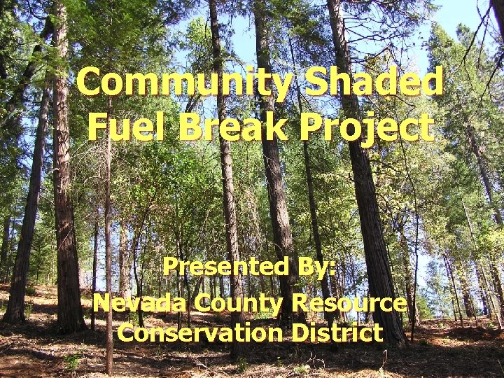 Community Shaded Fuel Break Project Presented By Nevada