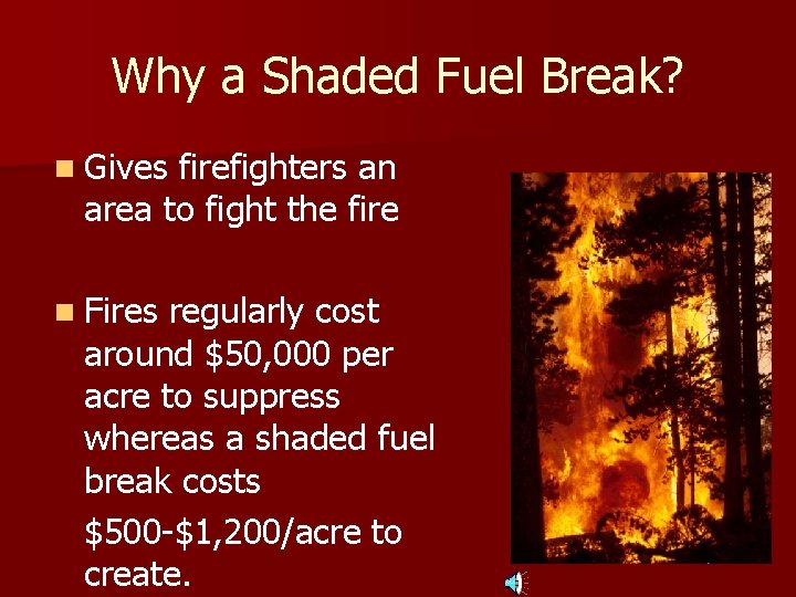 Community Shaded Fuel Break Project Presented By Nevada