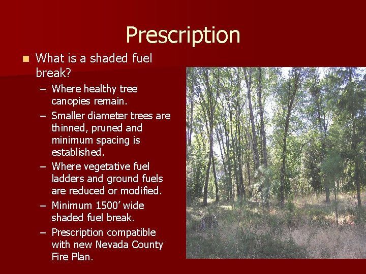 Community Shaded Fuel Break Project Presented By Nevada