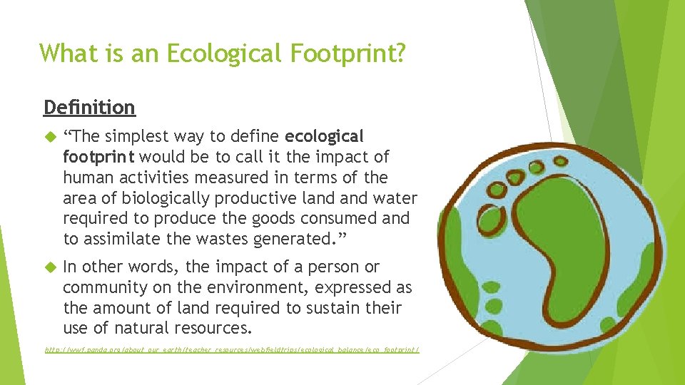 Ecological Footprint The Importance of Sustainability What is