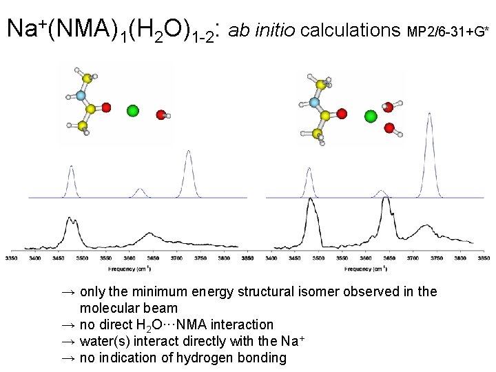 Modeling competitive interactions in peptides Vibrational spectroscopy and