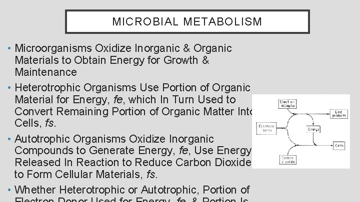 MICROBIAL METABOLISM LAB Lab 4 MICROBIAL METABOLISM Microorganisms