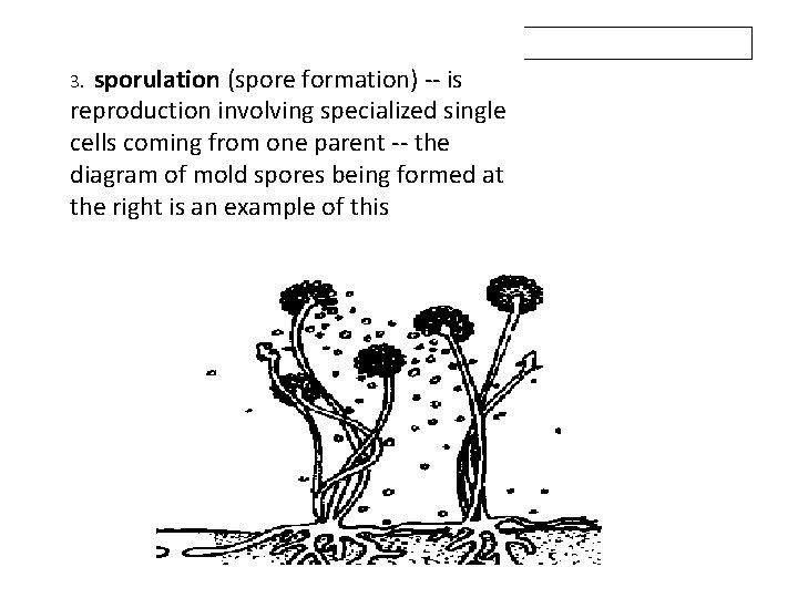 Std 7 SUB Science Reproduction in living things