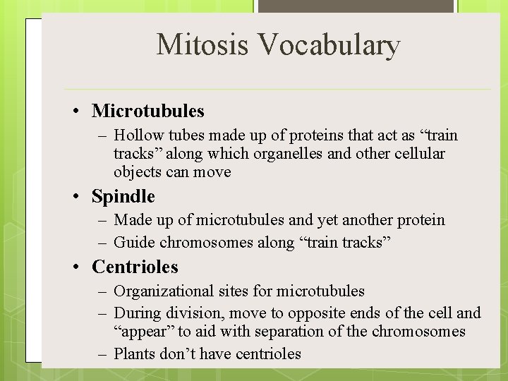 Mitosis Mitosis Background Stage This There of cell