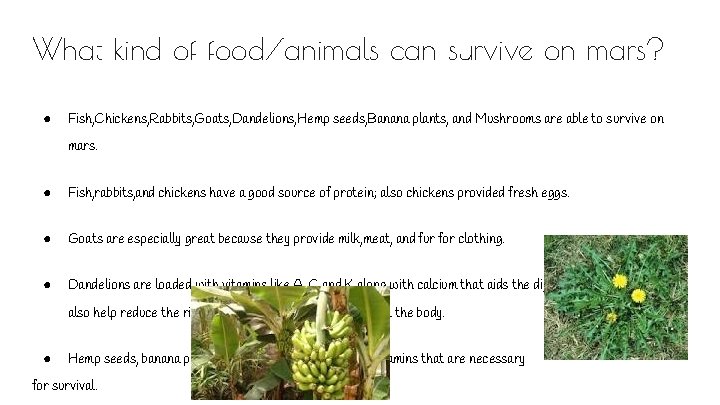 Food Network Status By Madison Mia Sofia What