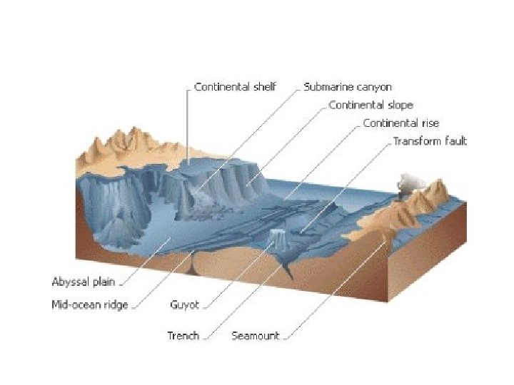 Chapter 11 Ocean Basins Oceans 5 major oceans