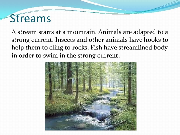Chapter 2 5 Aquatic Ecosystems Aquatic water Ecosystem