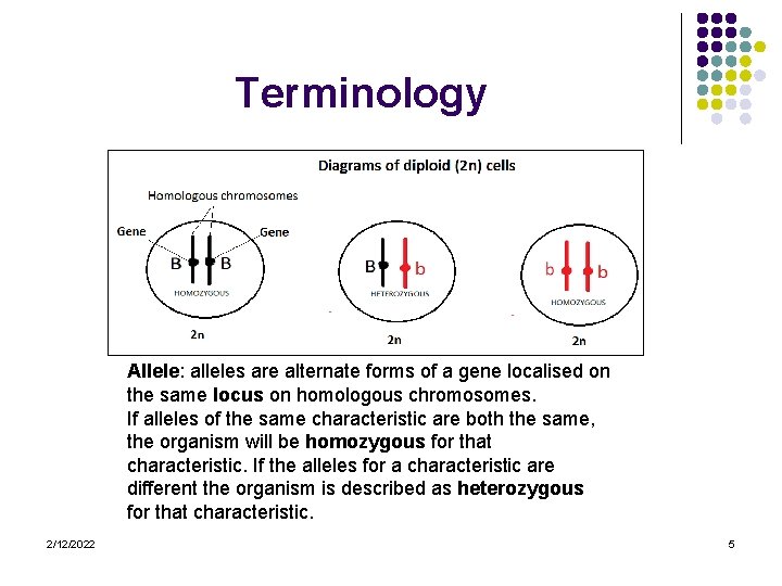 GENETIC PROBLEMS March 2012 2122022 1 Exam Guideline