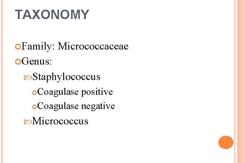 GRAM POSITIVE COCCI Staphylococci TAXONOMY Family Micrococcaceae Genus
