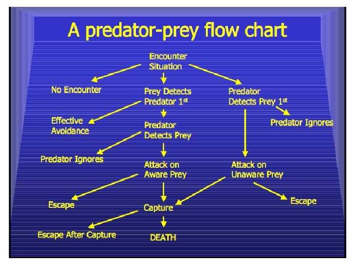 Avoiding Predation Main content from http iweb tntech