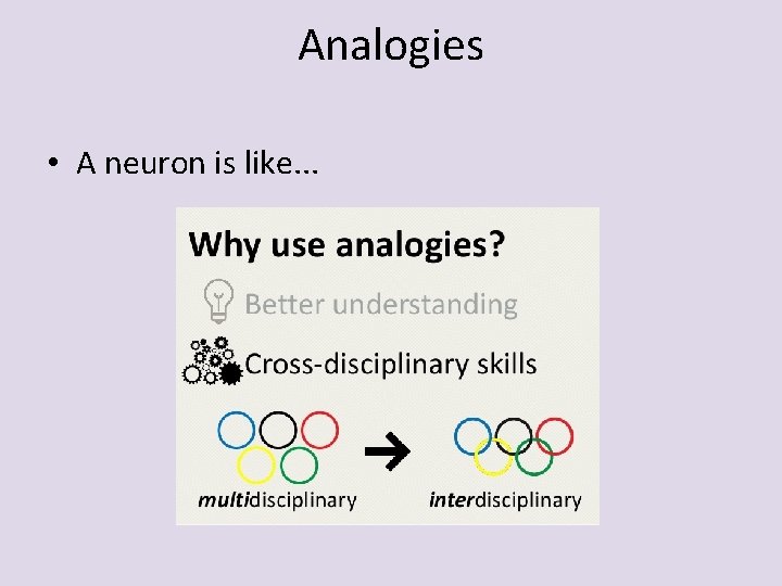 Biological Basis How the brain impacts our behavior