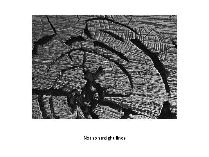 Leading Lines Repetition Scale and Balance Compositional Principles