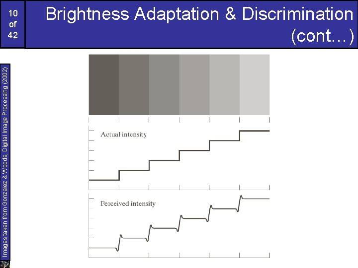 Digital Image Processing Digital Imaging Fundamentals Brian Mac