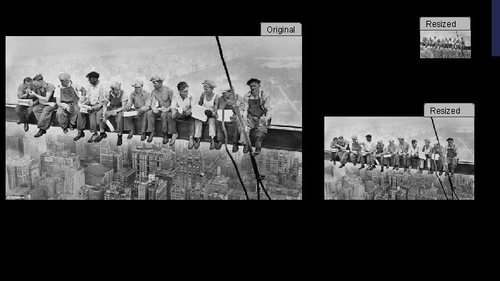 STARTER HOROBOD STARTER HOROBOD robin hood CROPPED AND