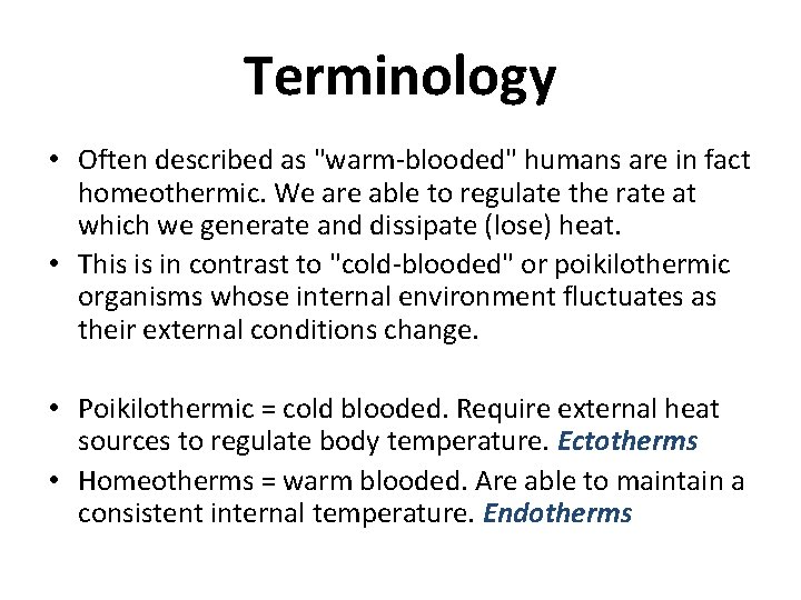 Thermoregulation Terminology Often described as warmblooded humans are