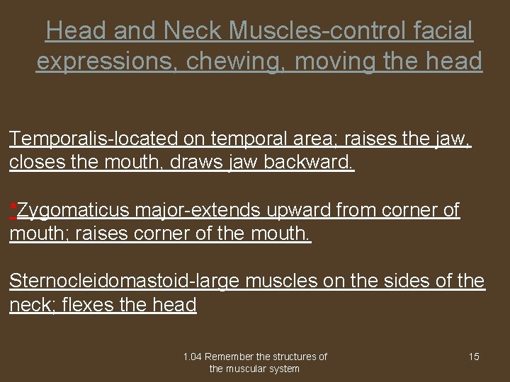 1 04 Remember the structures of the muscular