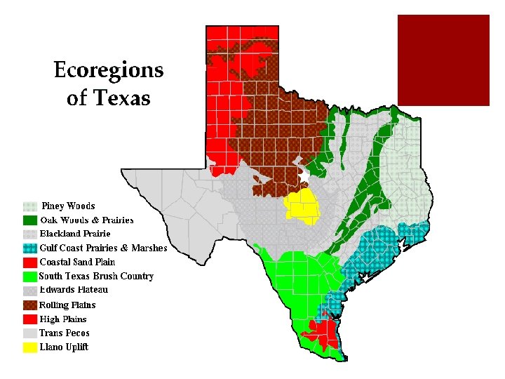 Ecoregions of Texas What Is An Ecoregion Ecoregion