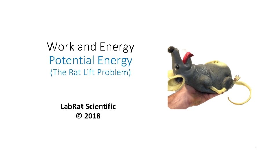 Work and Energy Potential Energy The Rat Lift