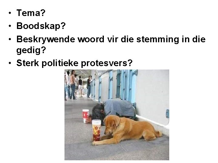 Life van die jobless Magmoed Martin Magmoed Martin