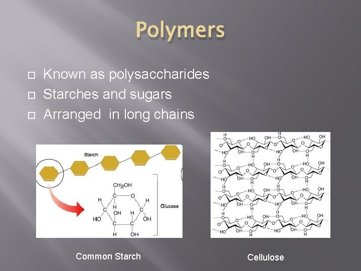 CARBOHYDRATES By Clay Bowes leader Joey Cristee Vocabulary
