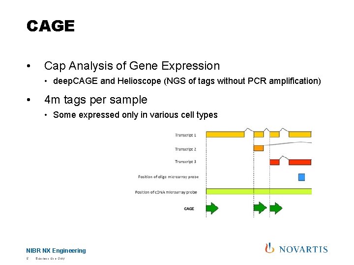 NIBR NX Engineering Bioinformatics Beers FANTOM 5 Brian