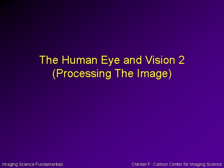 The Human Eye and Vision 2 Processing The