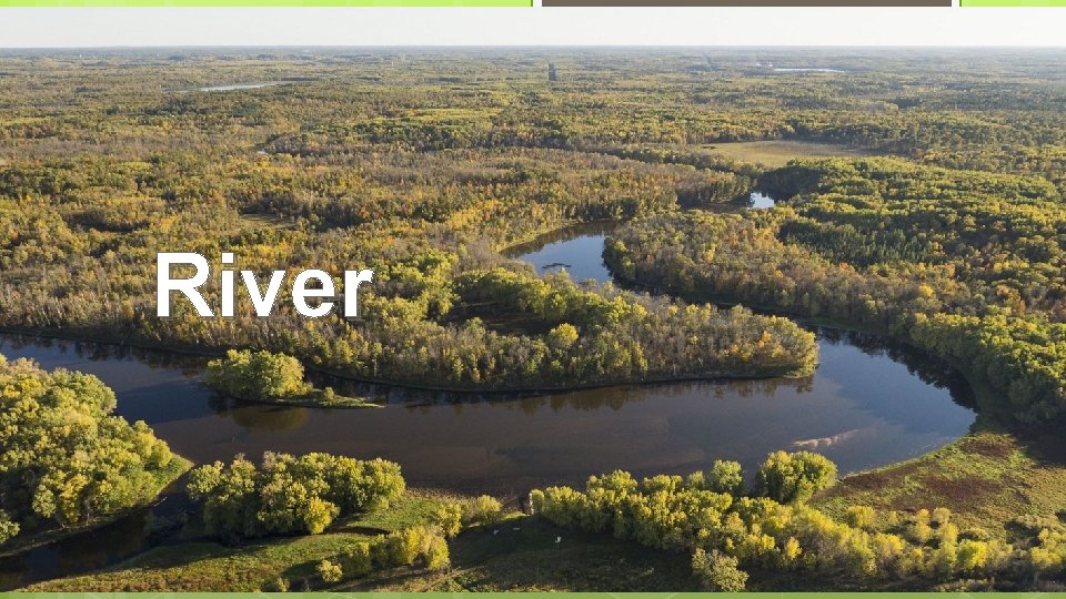 Water Biomes Mr Parrs Biome song Terrestrial land