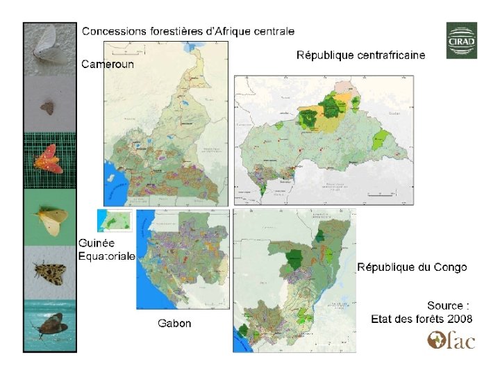 La conservation de la biodiversit dans les concessions