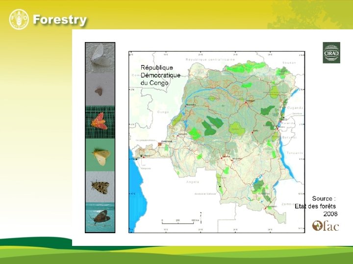 La conservation de la biodiversit dans les concessions