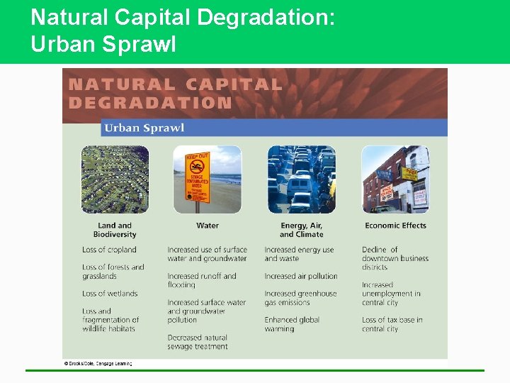 Sustainable Cities Chapter 22 Most cities are places