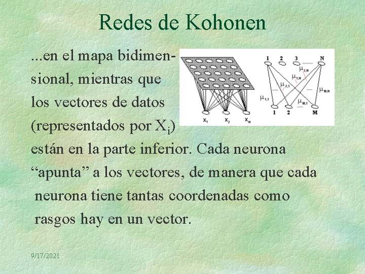 Redes Neuronales de Kohonen Las Redes de Kohonen