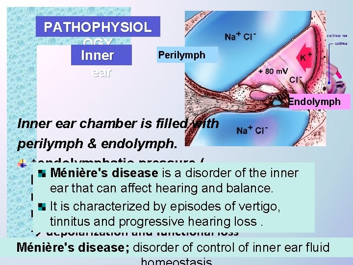 BALANCE ILO s Recognize causes and symptoms of
