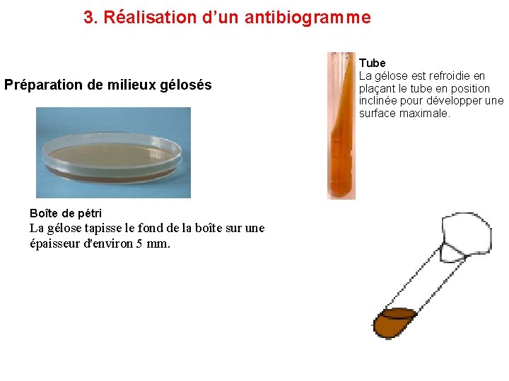 3 Ralisation dun antibiogramme Prparation de milieux gloss