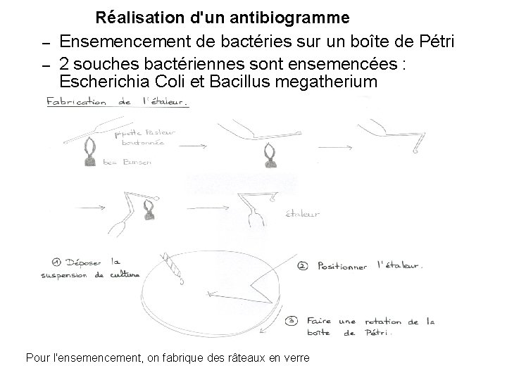 3 Ralisation dun antibiogramme Prparation de milieux gloss