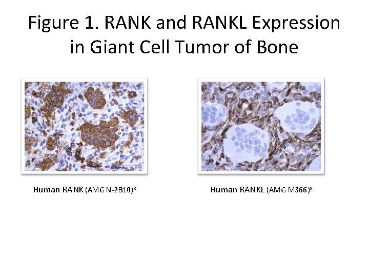 Final presentation will be as poster This slide