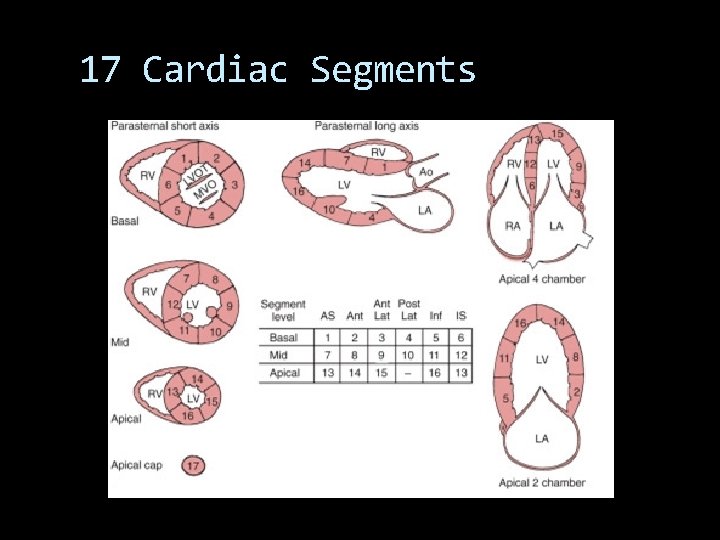 Turandot Saul December 19 2007 ULTRASOUND DETERMINATION OF