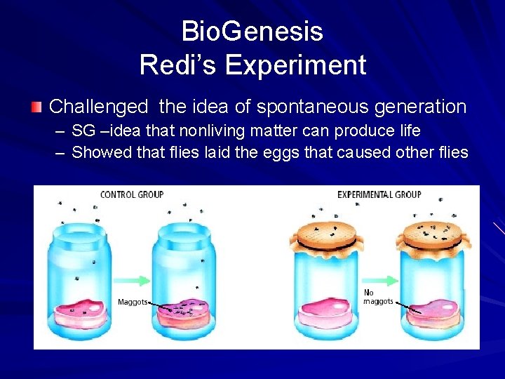 The Origin of Life Bio Genesis Redis Experiment