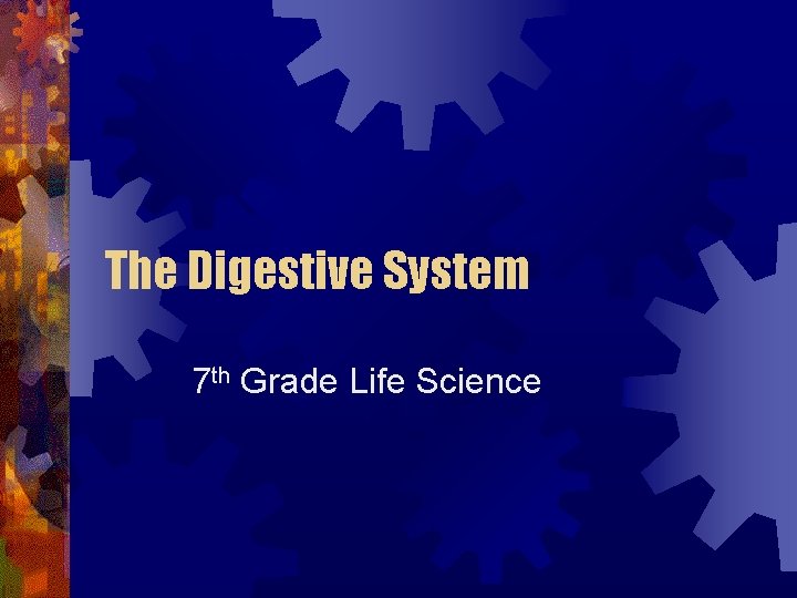 The Digestive System 7 th Grade Life Science