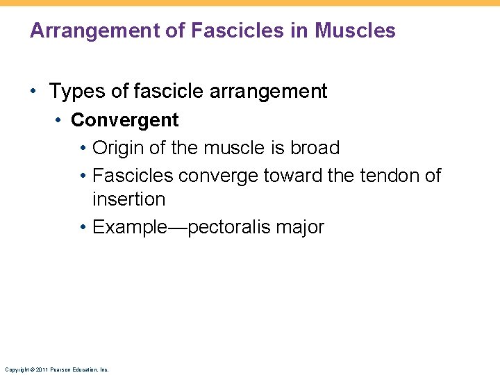 Power Point Lecture Slides prepared by Leslie Hendon