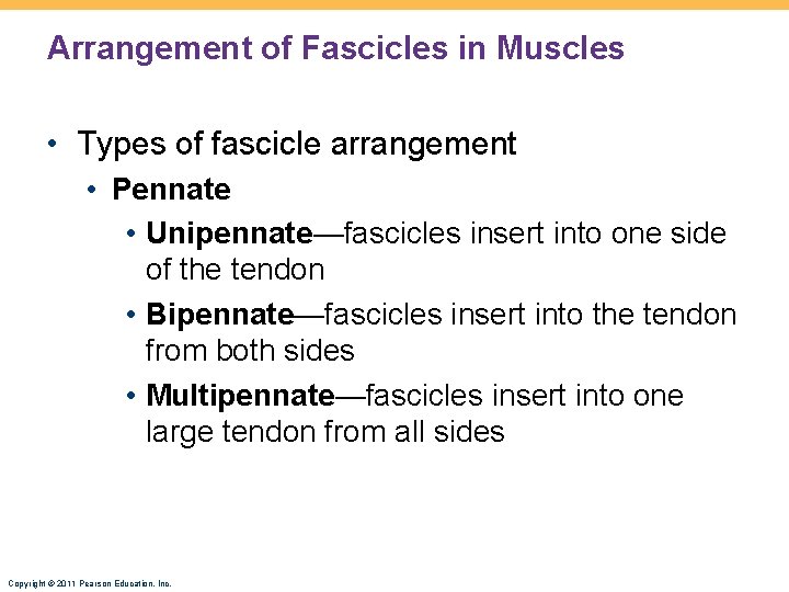 Power Point Lecture Slides prepared by Leslie Hendon