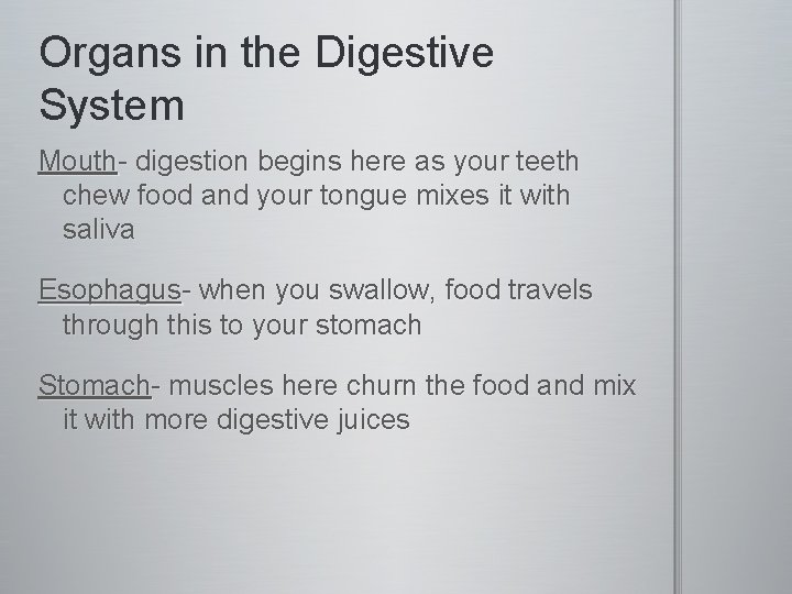 The Digestive System Basic Facts The Digestive Systems