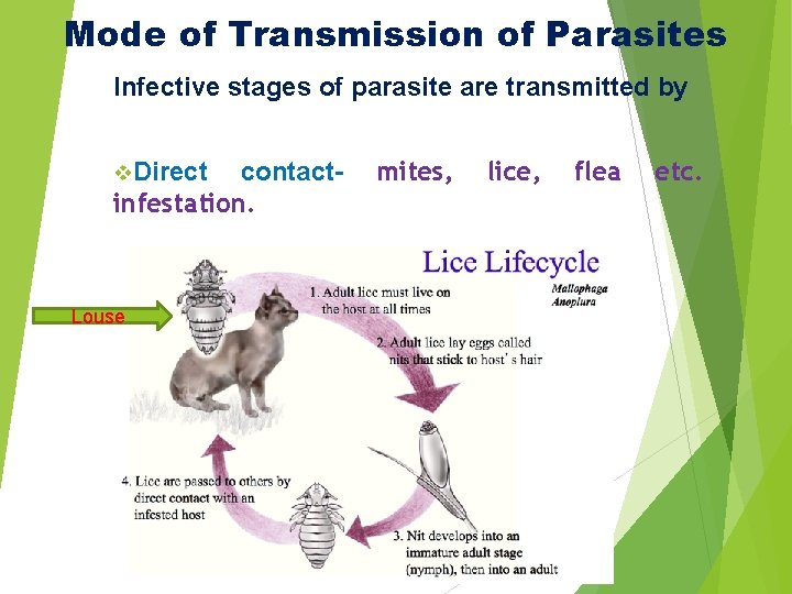 Mode of Transmission of Parasites Dr AJIT KUMAR