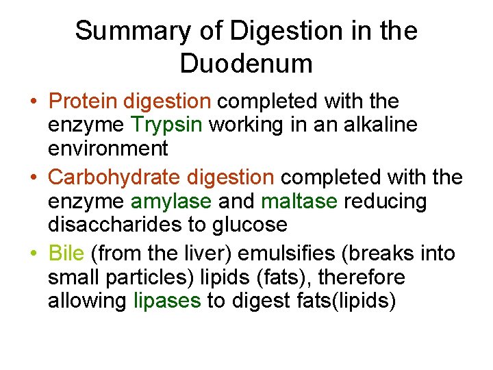 Digestive system Why do we need a digestive